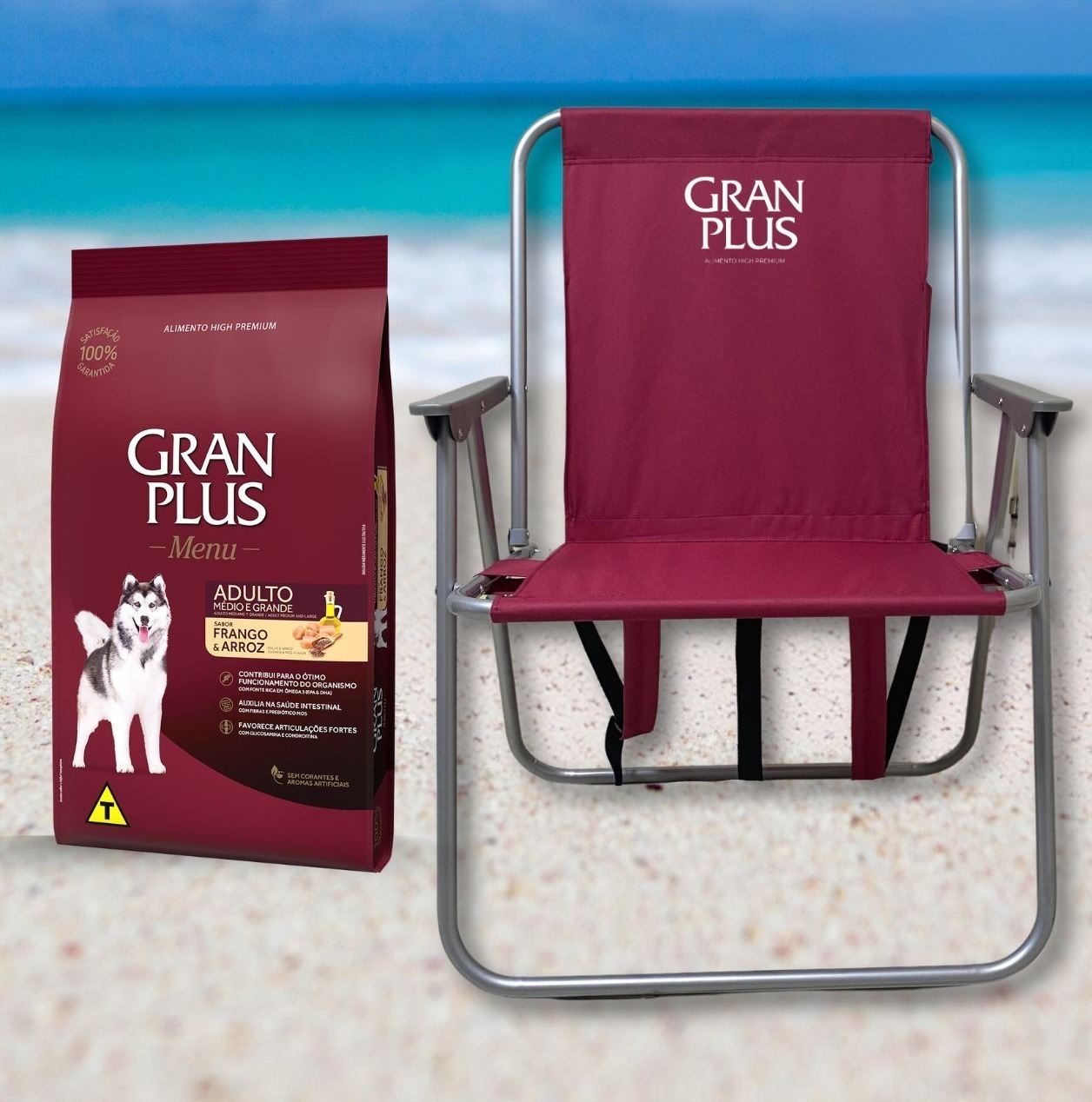 Gran Plus Adulto Pollo y Arroz 20 Kg +Silla - Racionya